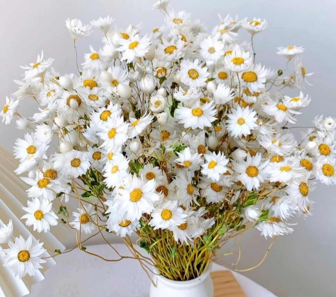 Best Flowers For Graduation - Flowers To Give For Graduation